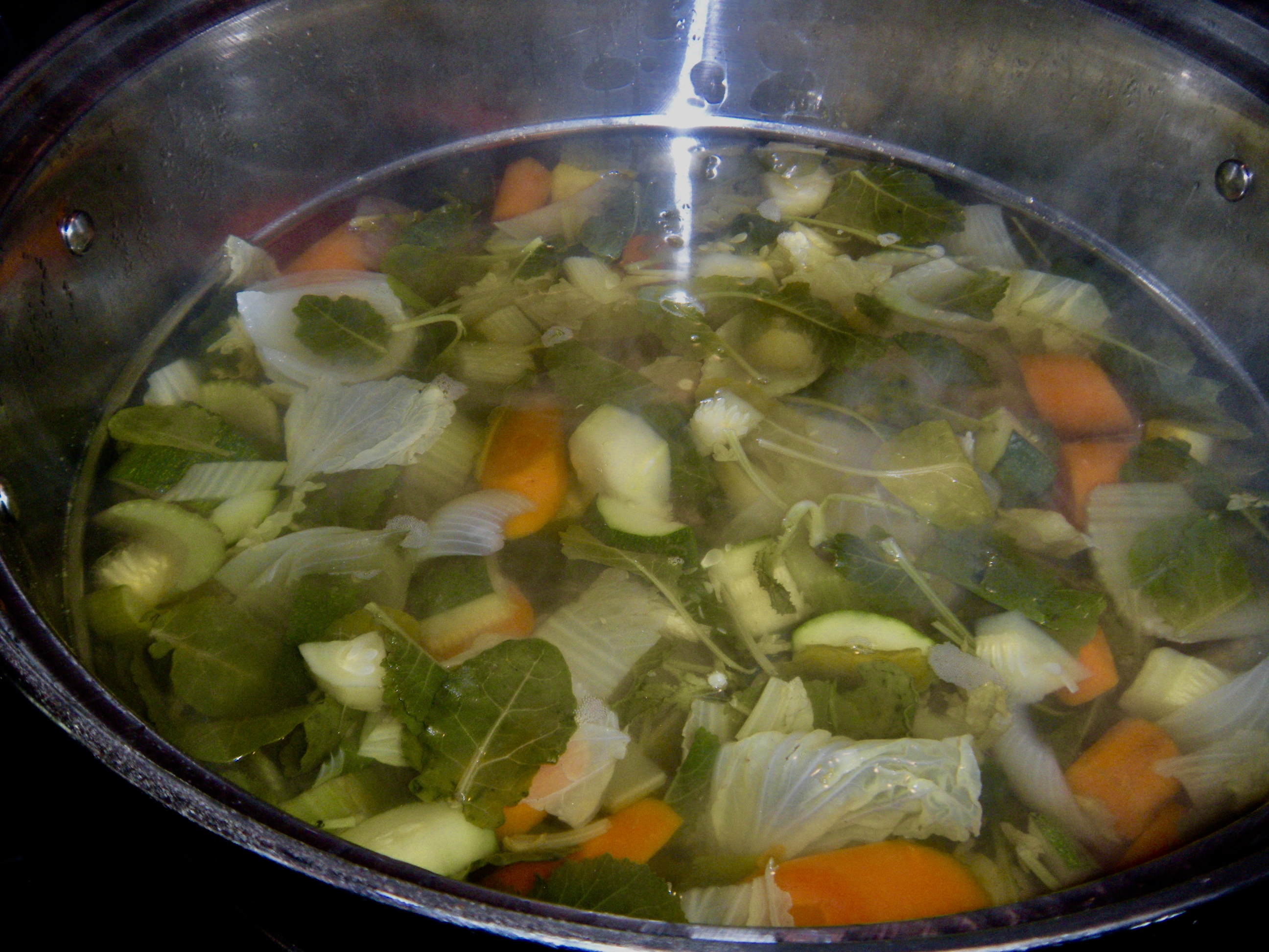 mega- vegetable broth! . . . | mulberryshoots